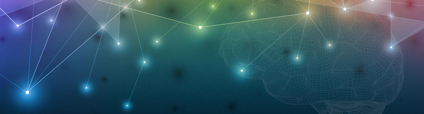 Neuroscience Major Requirements | Neuroscience Neuroscience Major Requirements | Neuroscience